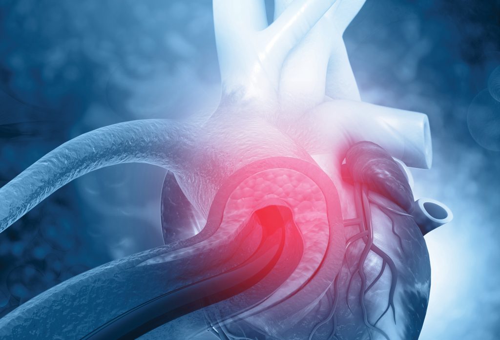 Oracle Heart & Vascular – Cardiologist in Fredericksburg, VA